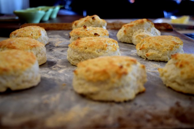 The Biscuit King@judyschickens