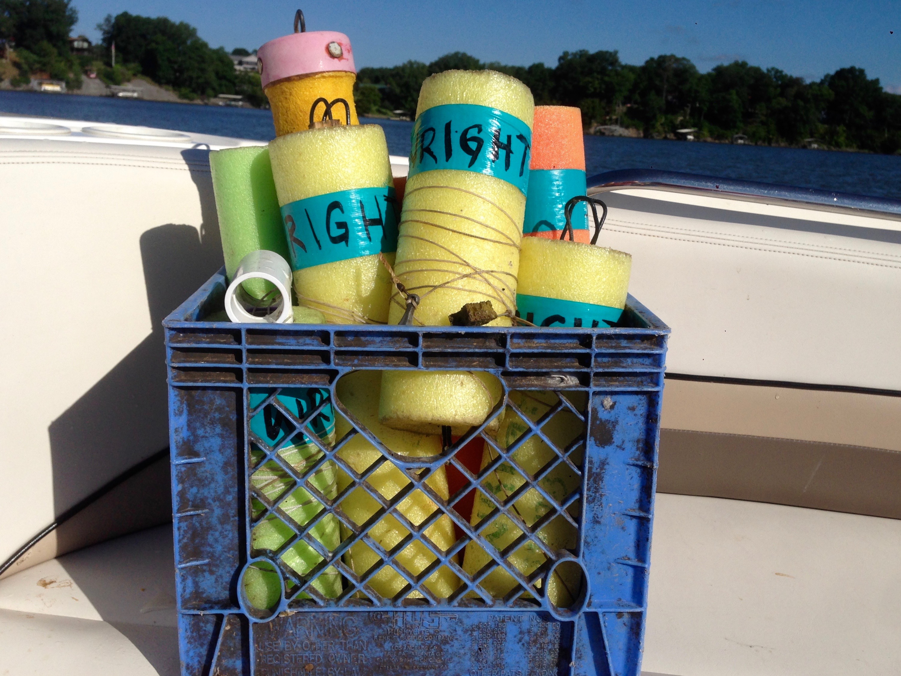 How to Make Catfish Traps: AKA Noodle or Jug Fishing@judyschickens