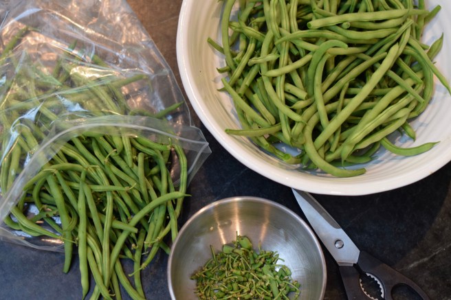 Blanched String Beans with Vinaigrette@judyschickens
