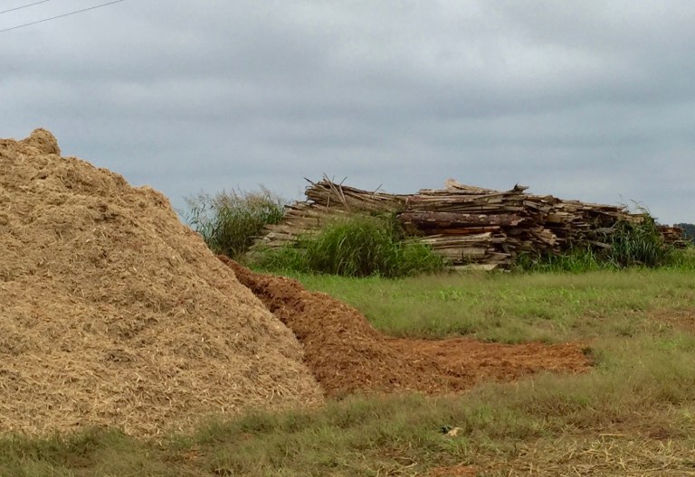 The Tobacco Barns of Trigg County, Kentucky@judyschickens