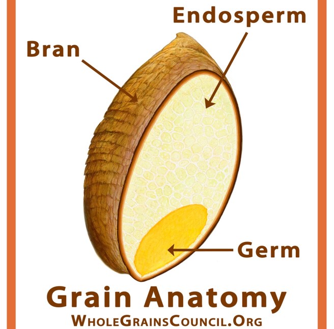 Perfect Rice Every Time!@judyschickens