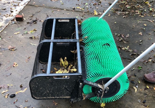 Pecan Picking in Mississippi (and recipes to go with them)@judyschickens