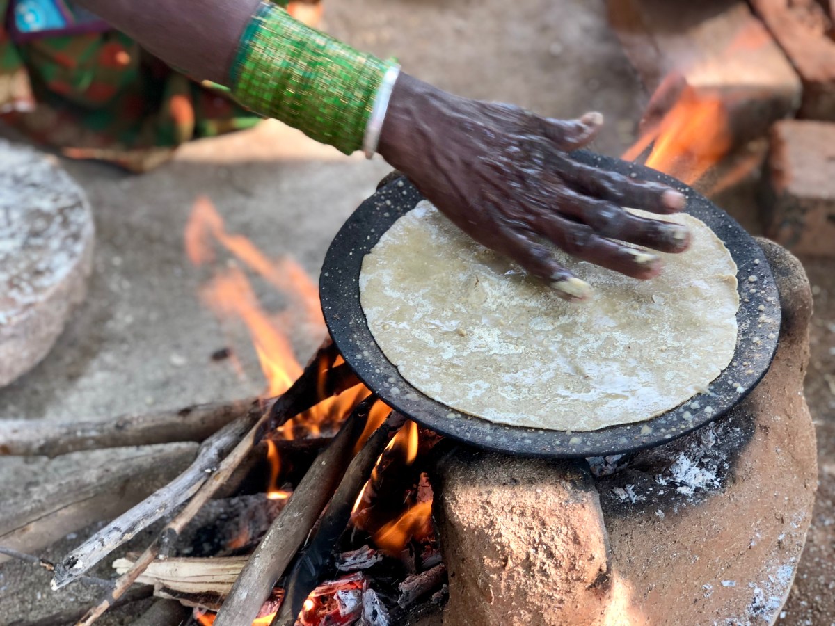 A Cook’s Tour of a Farm in Southern India (India, Part 5)@judyschickens