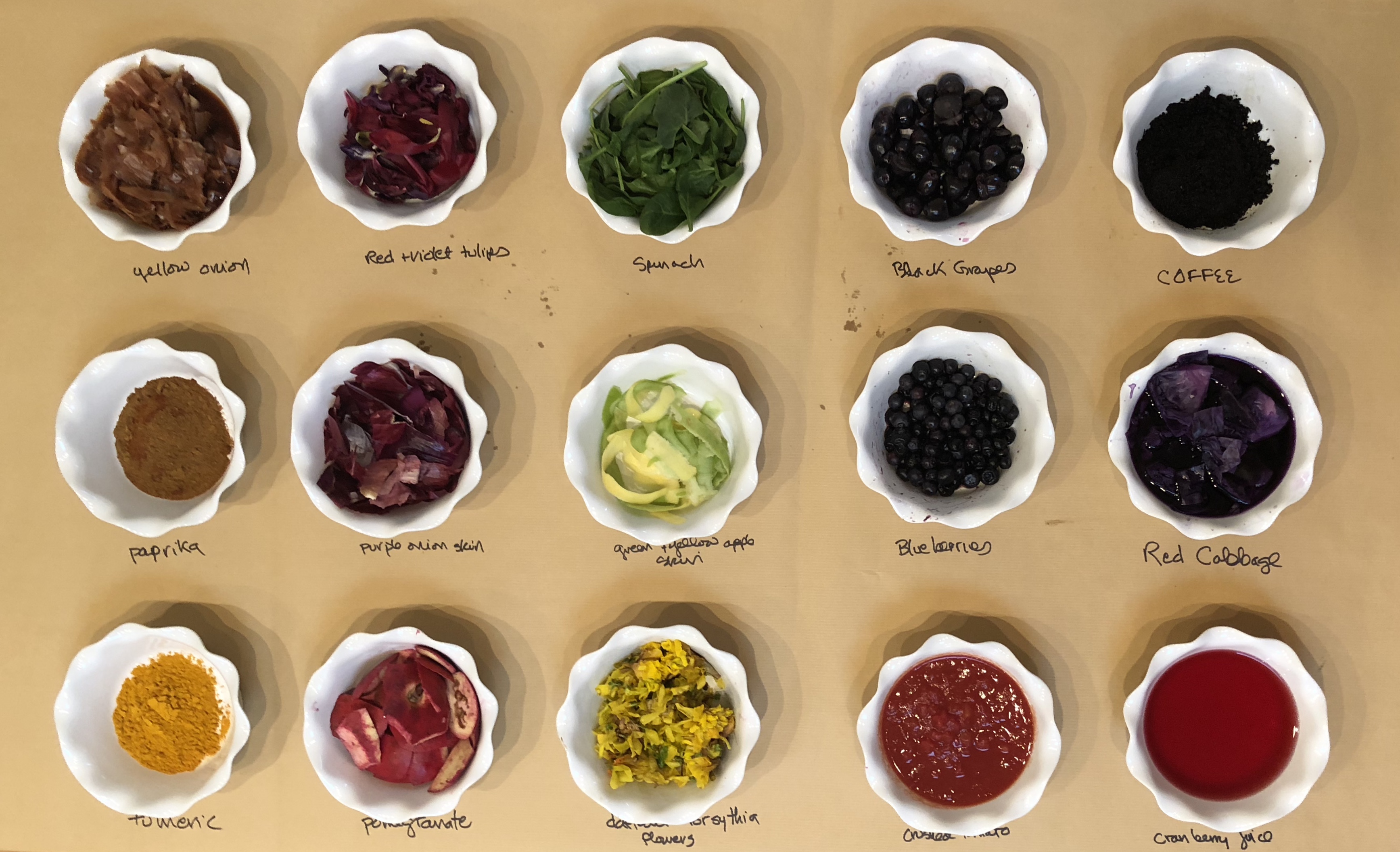 How to Make Plant-Based Dyes@judyschickens