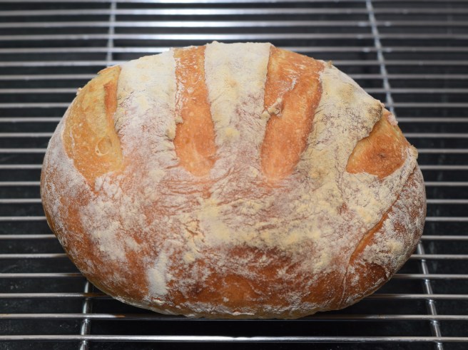 How to Make Artisan Bread the Easy Way@judyschickens