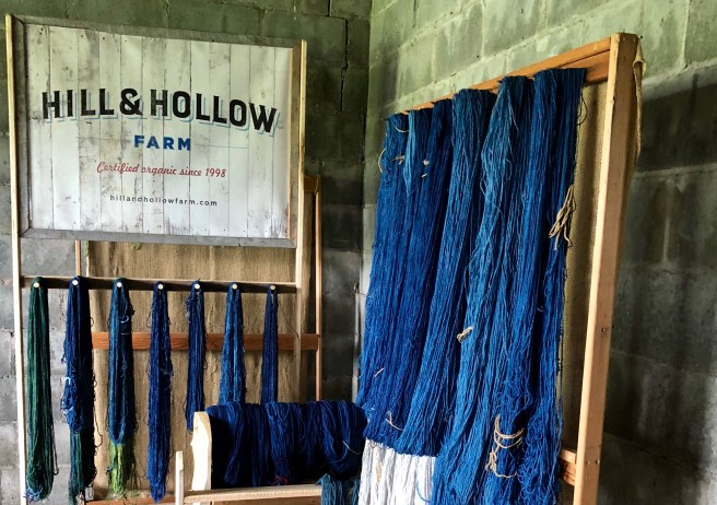 How to Make Indigo Blue Dye@judyschickens