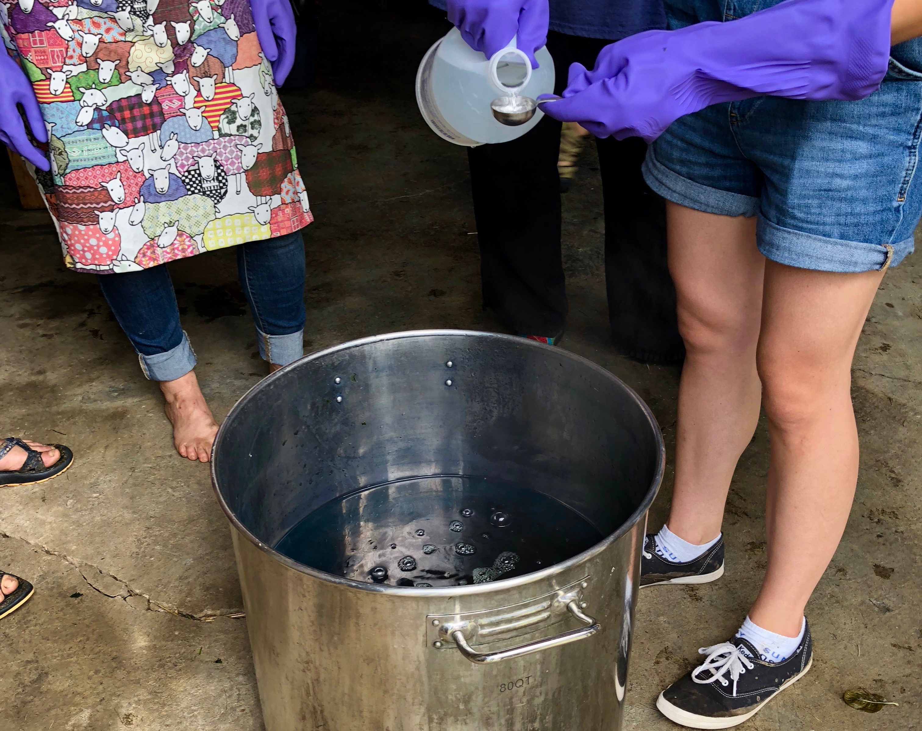 How to Make Indigo Blue Dye@judyschickens