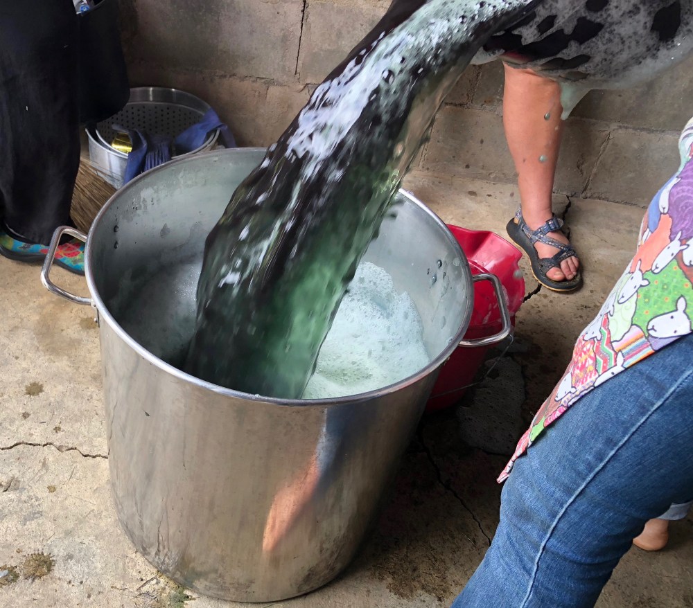 How to Make Indigo Blue Dye@judyschickens