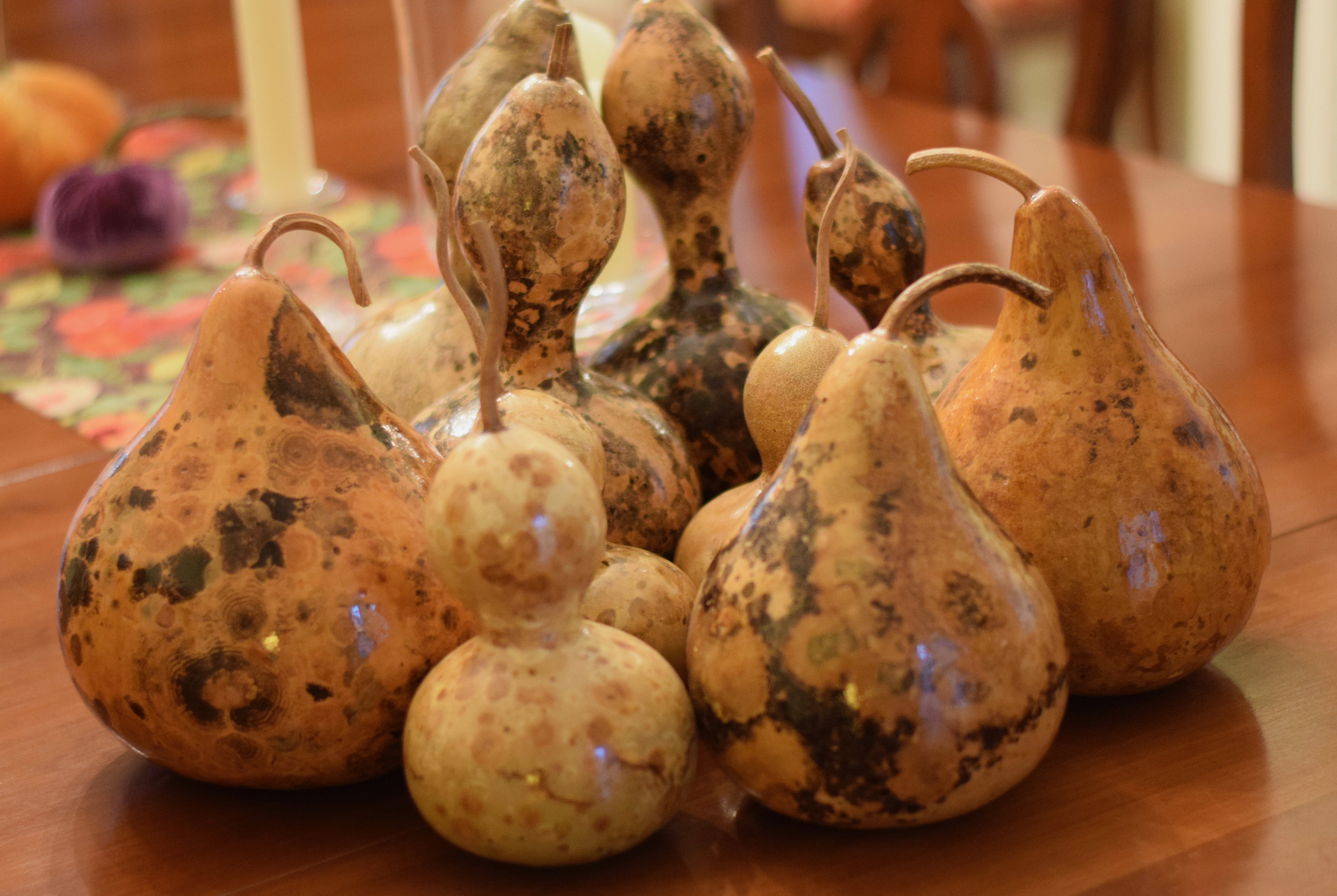 How to Make Gorgeous Birdhouse Gourds@judyschickens