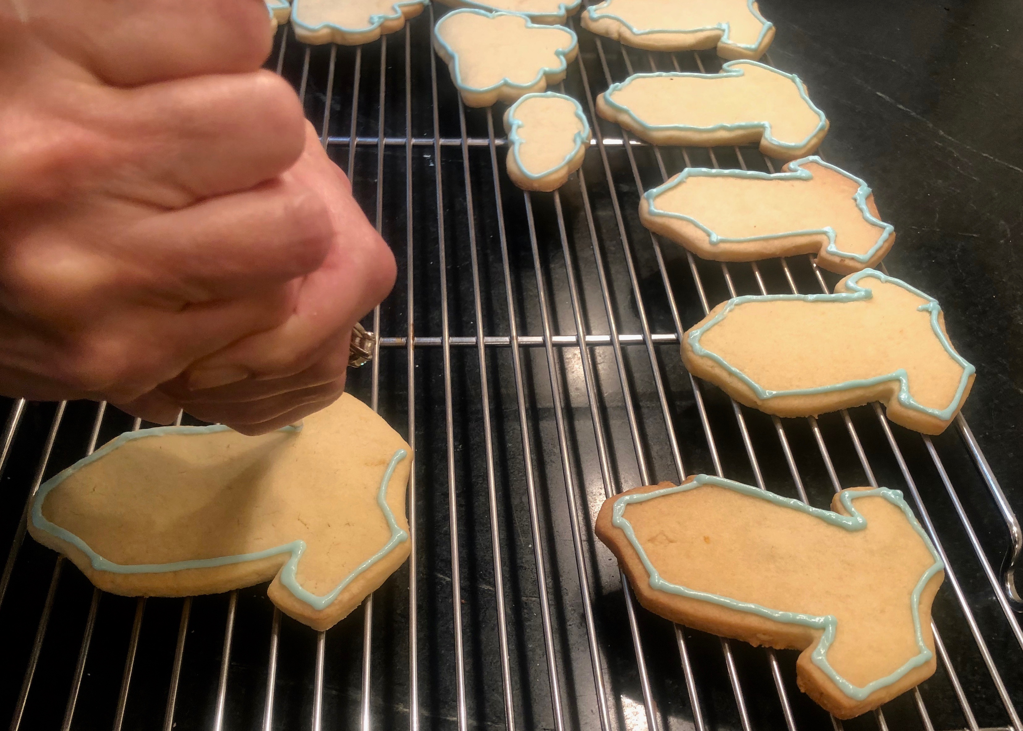 How to Make Royal Icing and Decorate Cookies@judyschickens