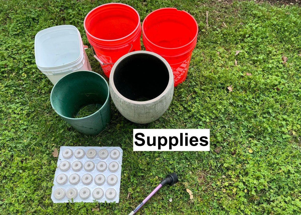 The Mosquito Bucket Hack That Works@judyschickens